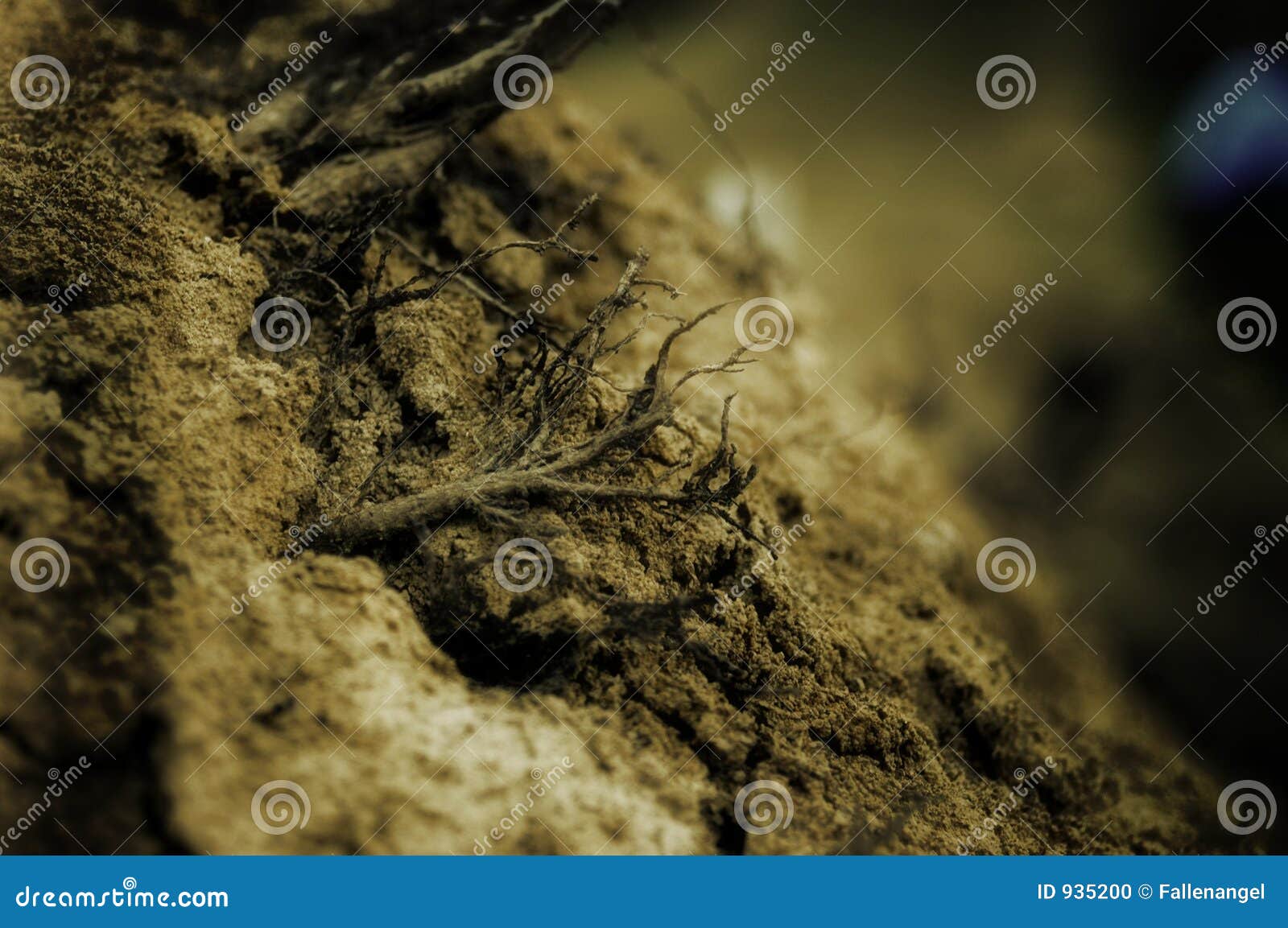 Earth texture stock photo. Image of ground, abstract, crack - 935200