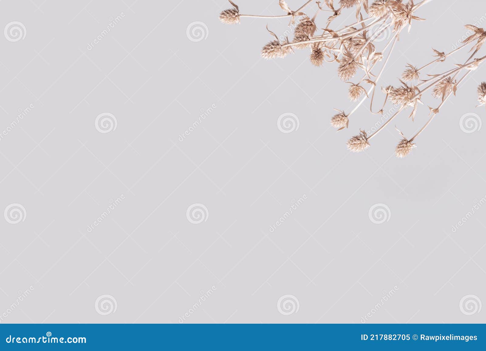 Earth Tone Floral Background Wallpaper Stock Image - Image of blank ...