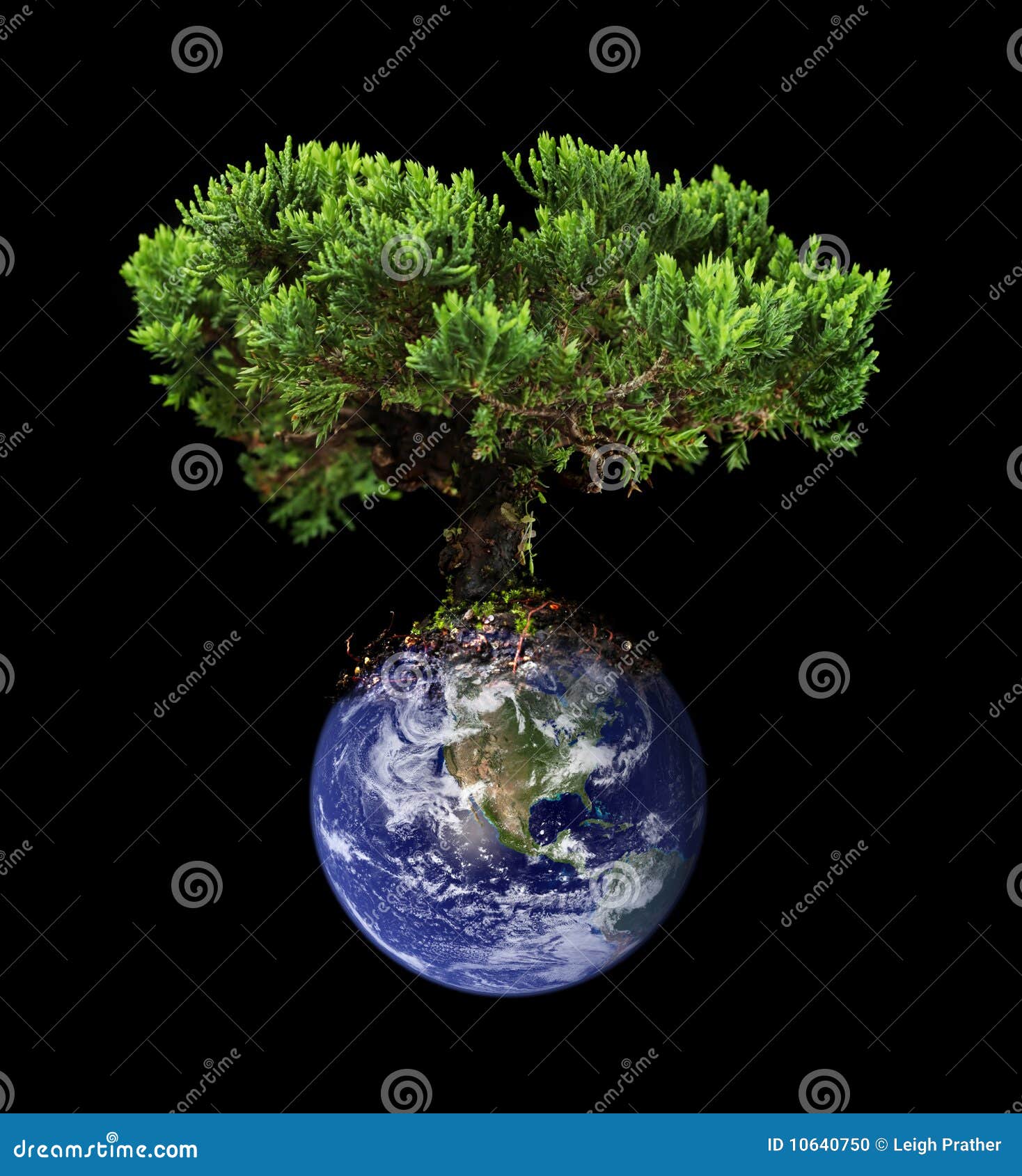 Earth tree stock photo. Image of ecology, colorful, conservation - 10640750