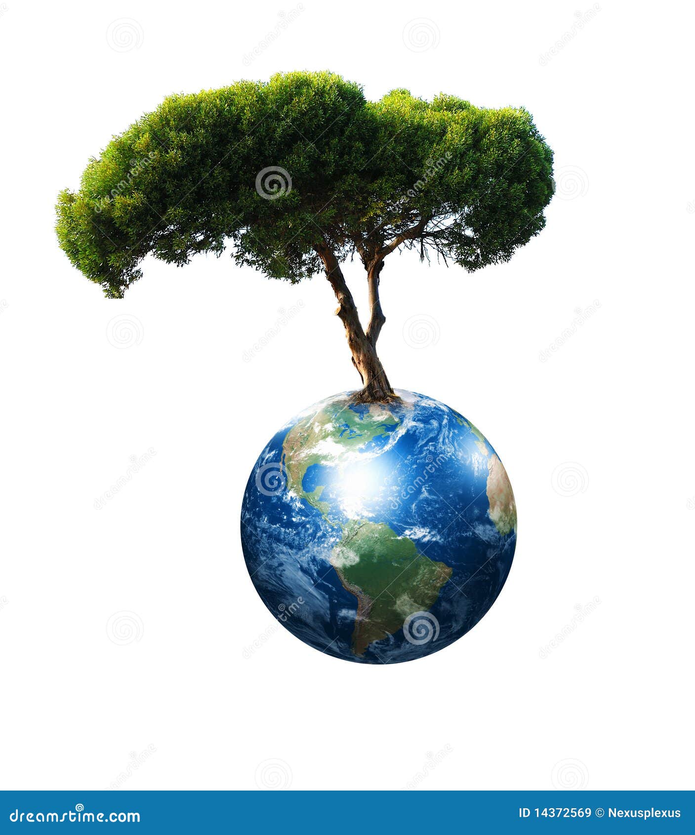 Earth and the tree stock illustration. Illustration of foliage - 14372569