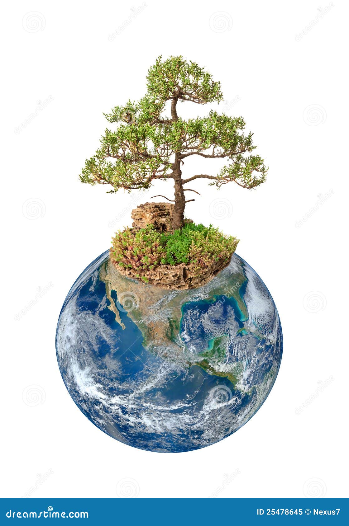 Earth and a Tree stock image. Image of life, birth, leaves - 25478645