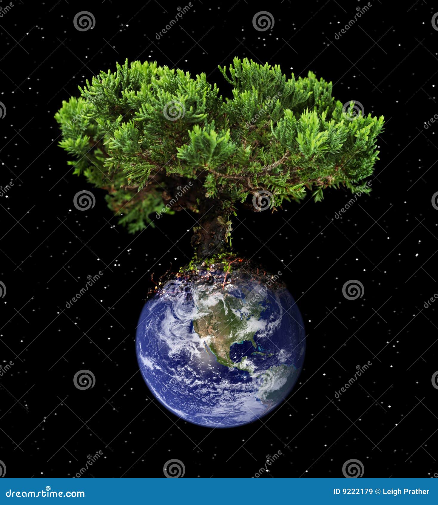 Earth And Tree With Buildings Stock Photo | CartoonDealer.com #42425544