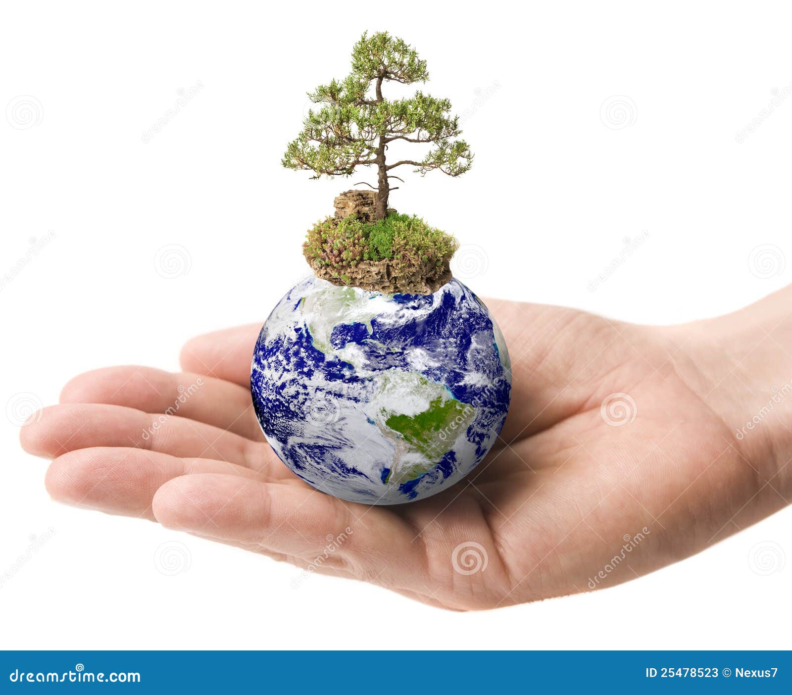 Earth with a Tree in a Hand Stock Image - Image of peace, global: 25478523