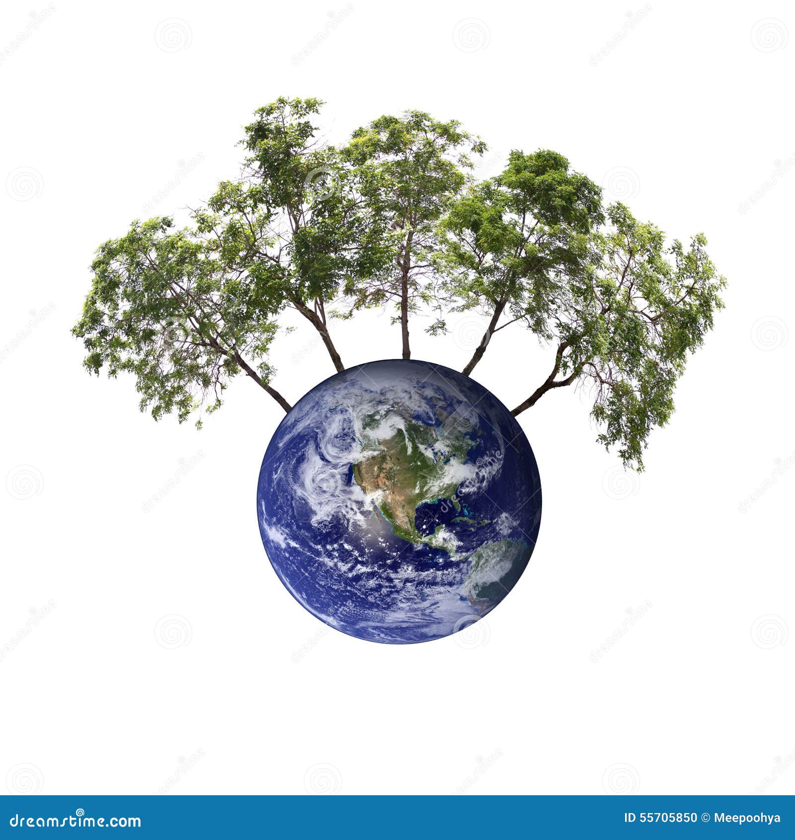 Earth and Trees that Represents Conservation. Stock Photo - Image of ...