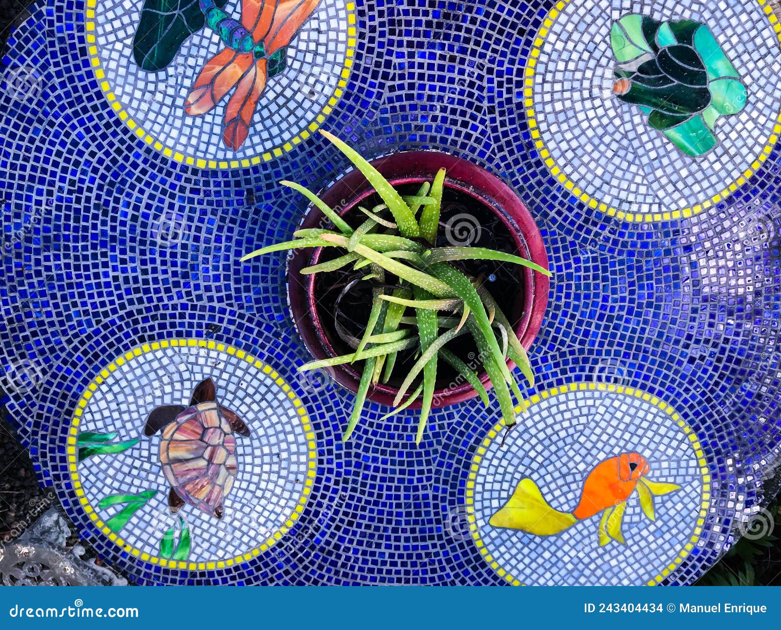 Earth, Wind & Water stock photo. Image of elements - 243404434