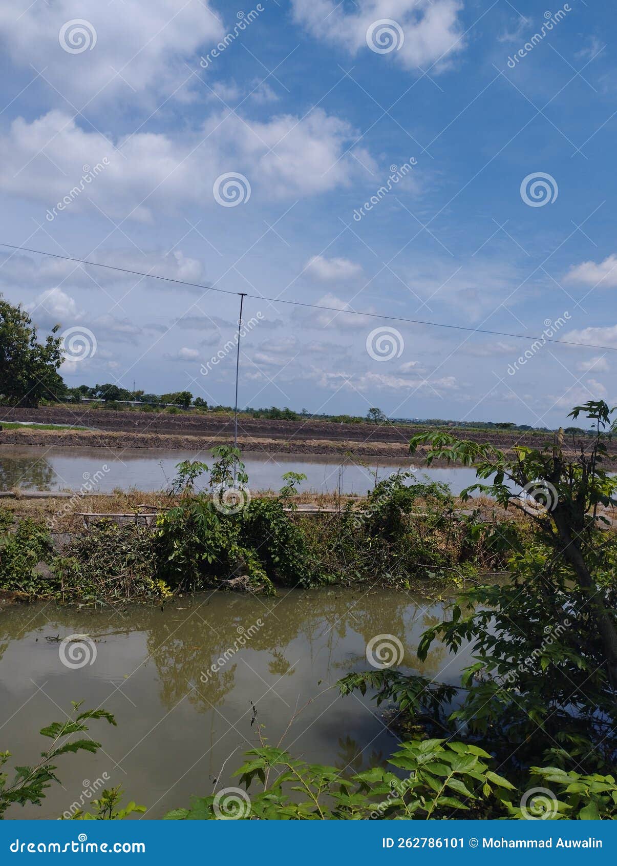 Earthen Ponds for Freshwater Fish Farming Stock Image - Image of ponds ...