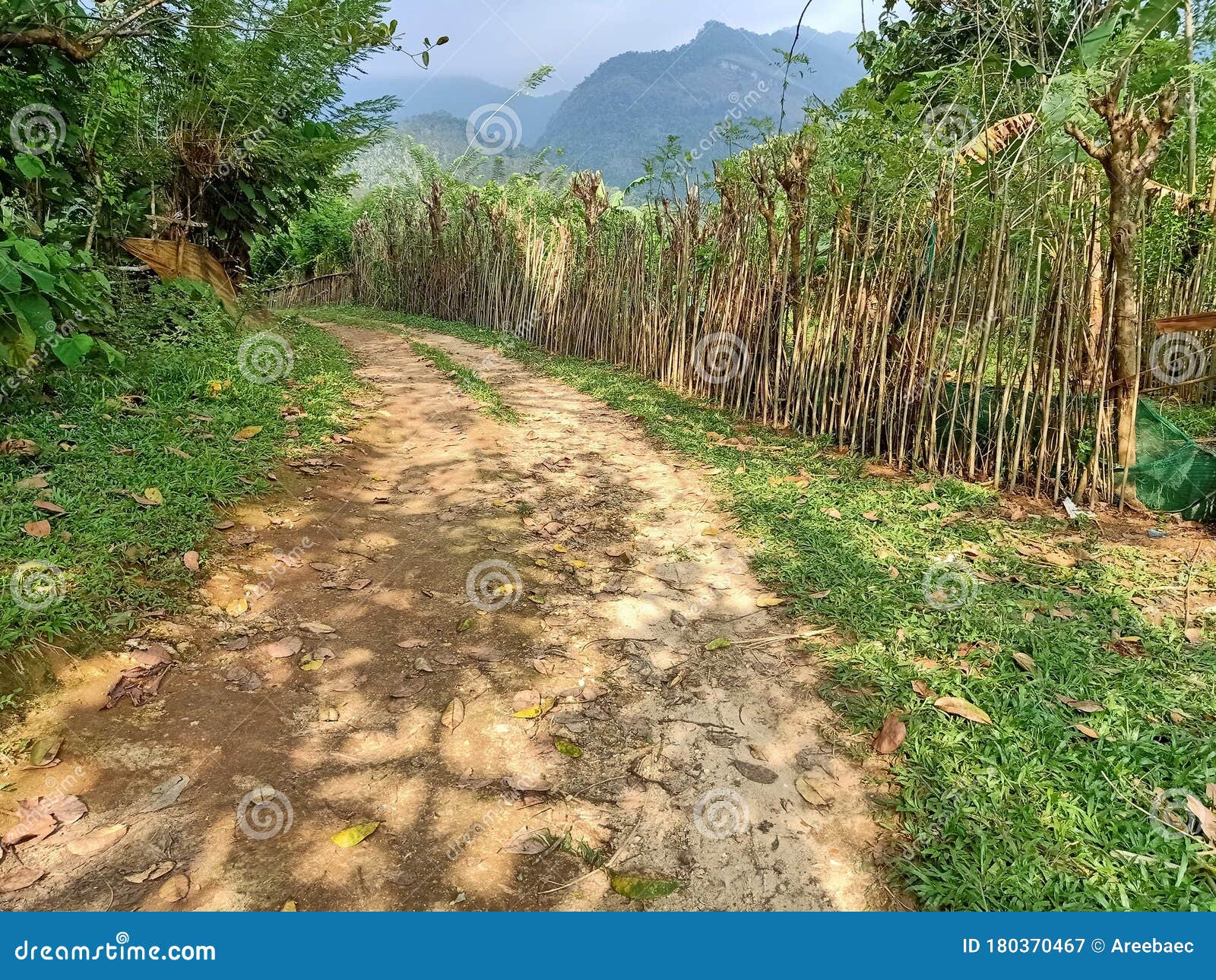 Earthen road natural stock image. Image of wallpaper - 180370467