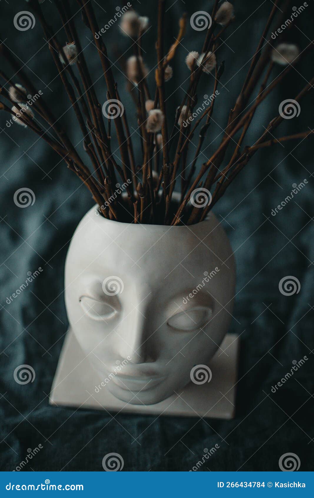 Earthenware Vase in the Shape of a Human Face with Willow Stock Photo ...
