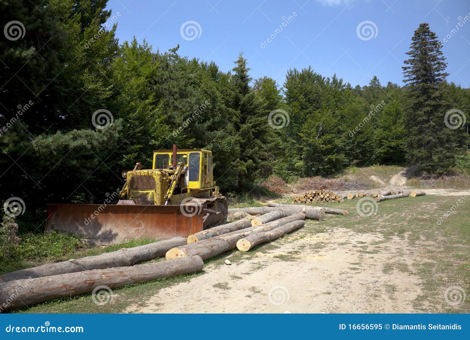 Earthmoving Machinery in the Forest Stock Image - Image of industry, barked: 16656595