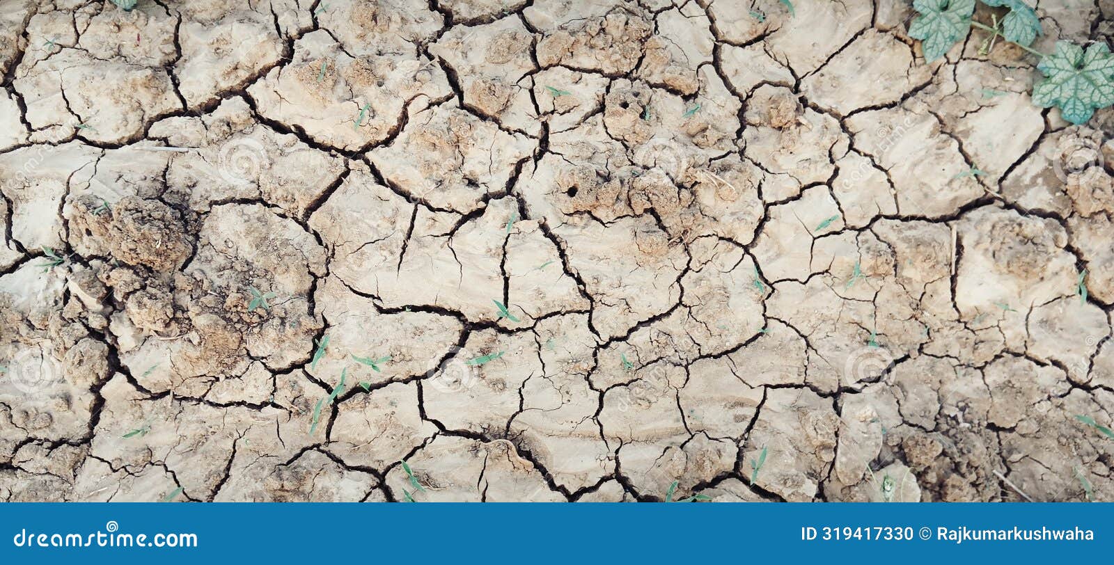 Earthquake effect stock photo. Image of earthquake, stonewall - 319417330