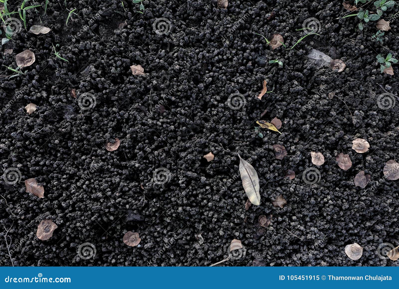 Earthworm castings stock image. Image of grass, garden - 105451915