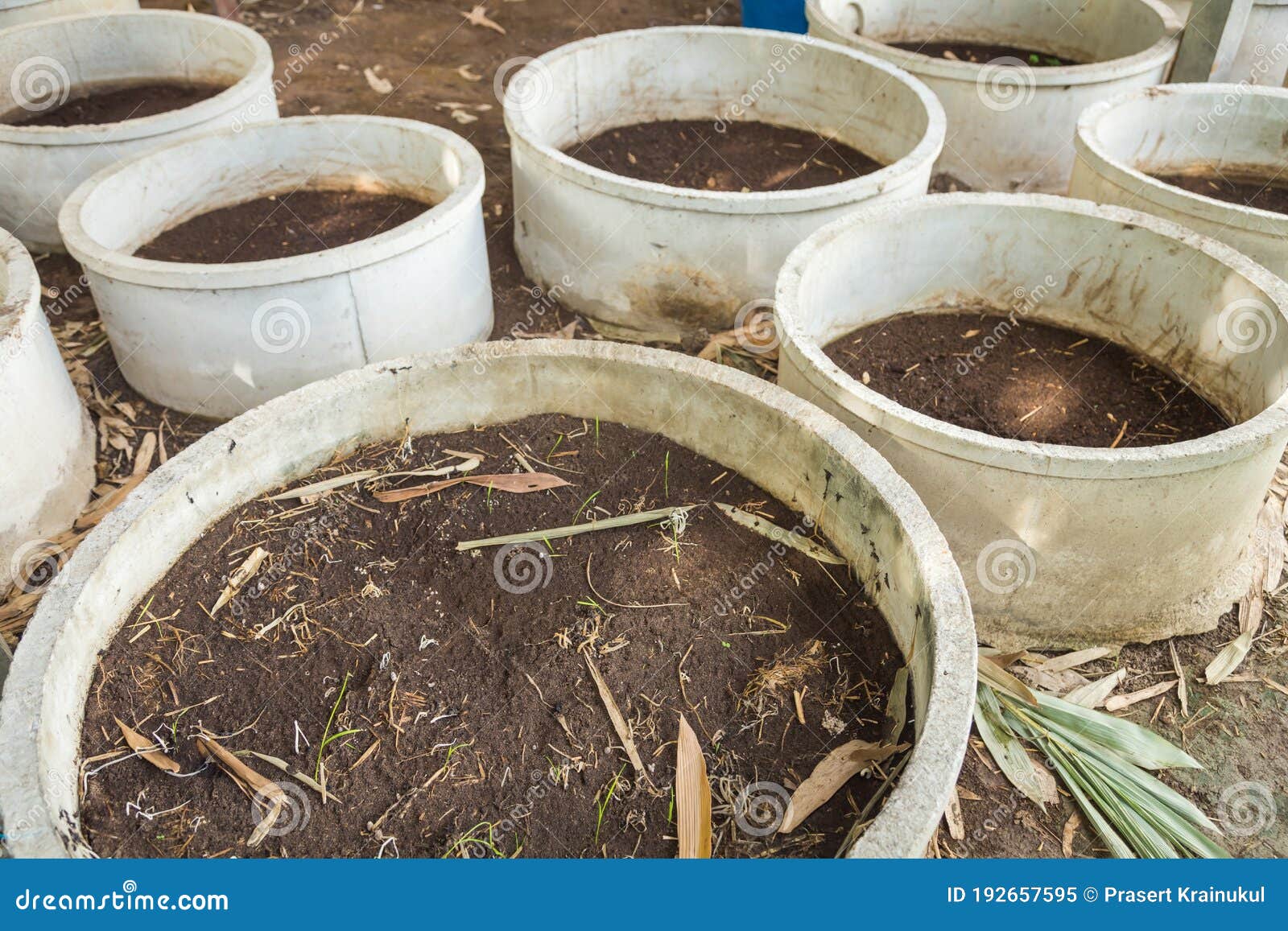 Earthworm Farm Good for Soil Stock Image - Image of brown, farming ...