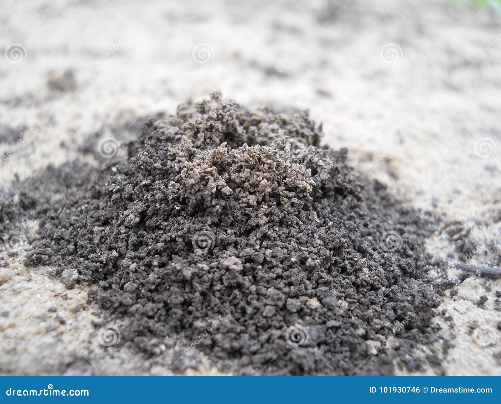 Earthworm house stock photo. Image of wiggled, build - 101930746