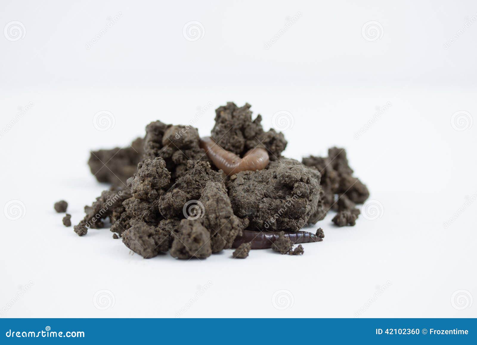 Earthworm Isolated stock photo. Image of blue, pink, closeup - 42102360