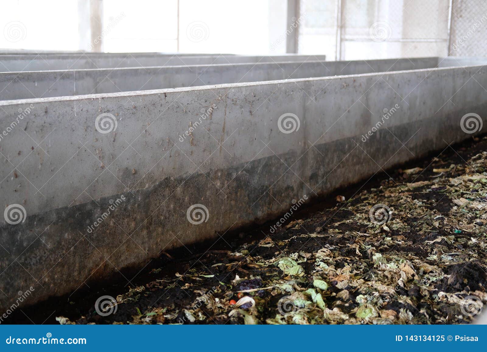 Earthworm for Producing Manure Compost Fertilizer Vermicompost Stock ...