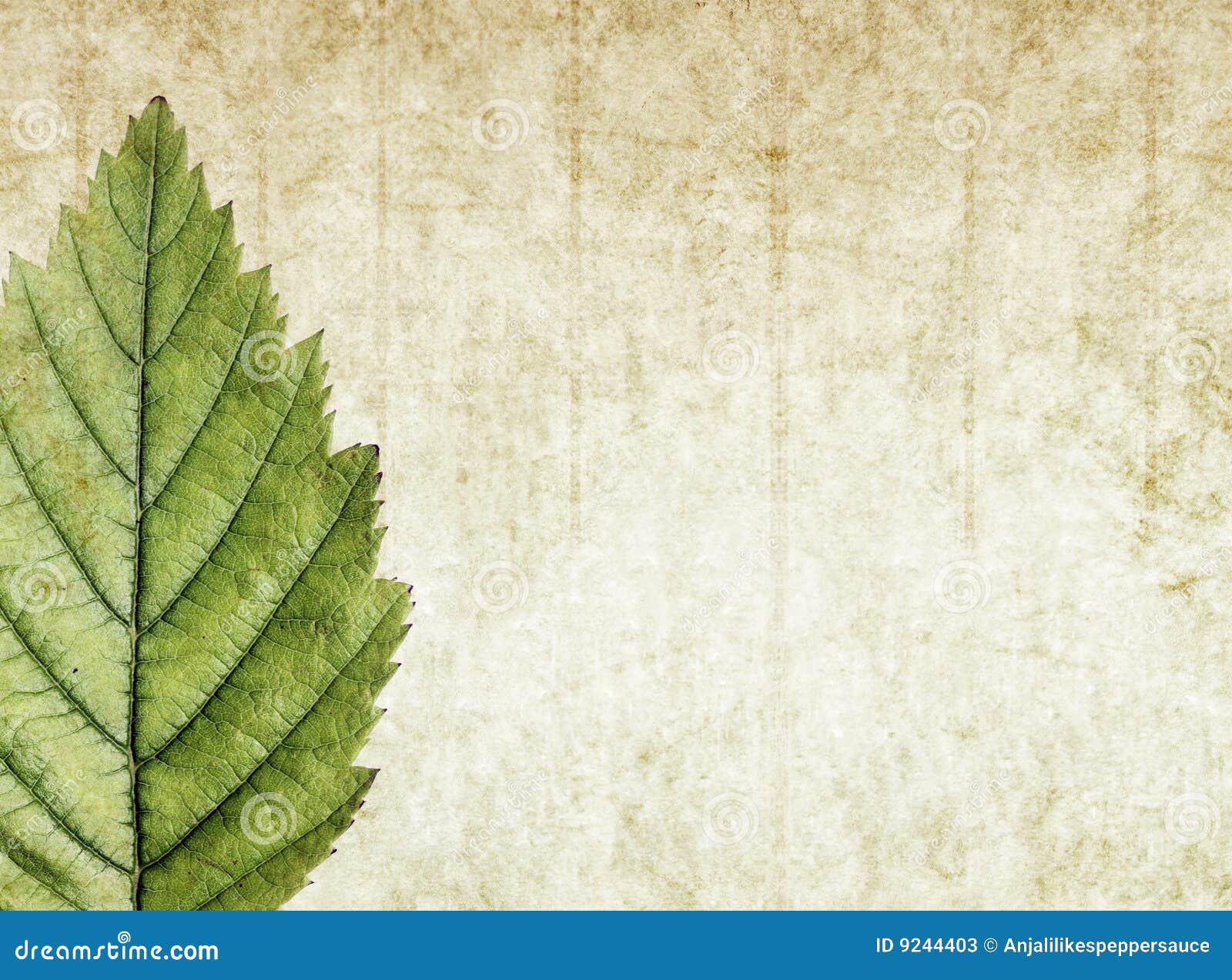 Background Image With Earthy Texture | CartoonDealer.com #8808976