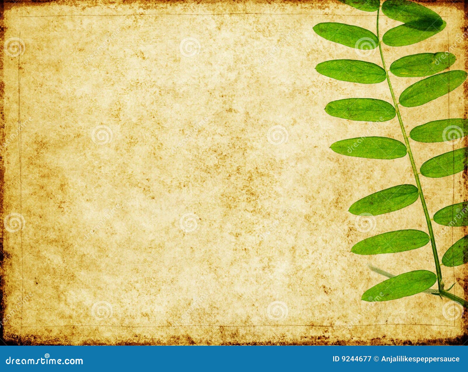Earthy background image stock illustration. Illustration of light - 9244677