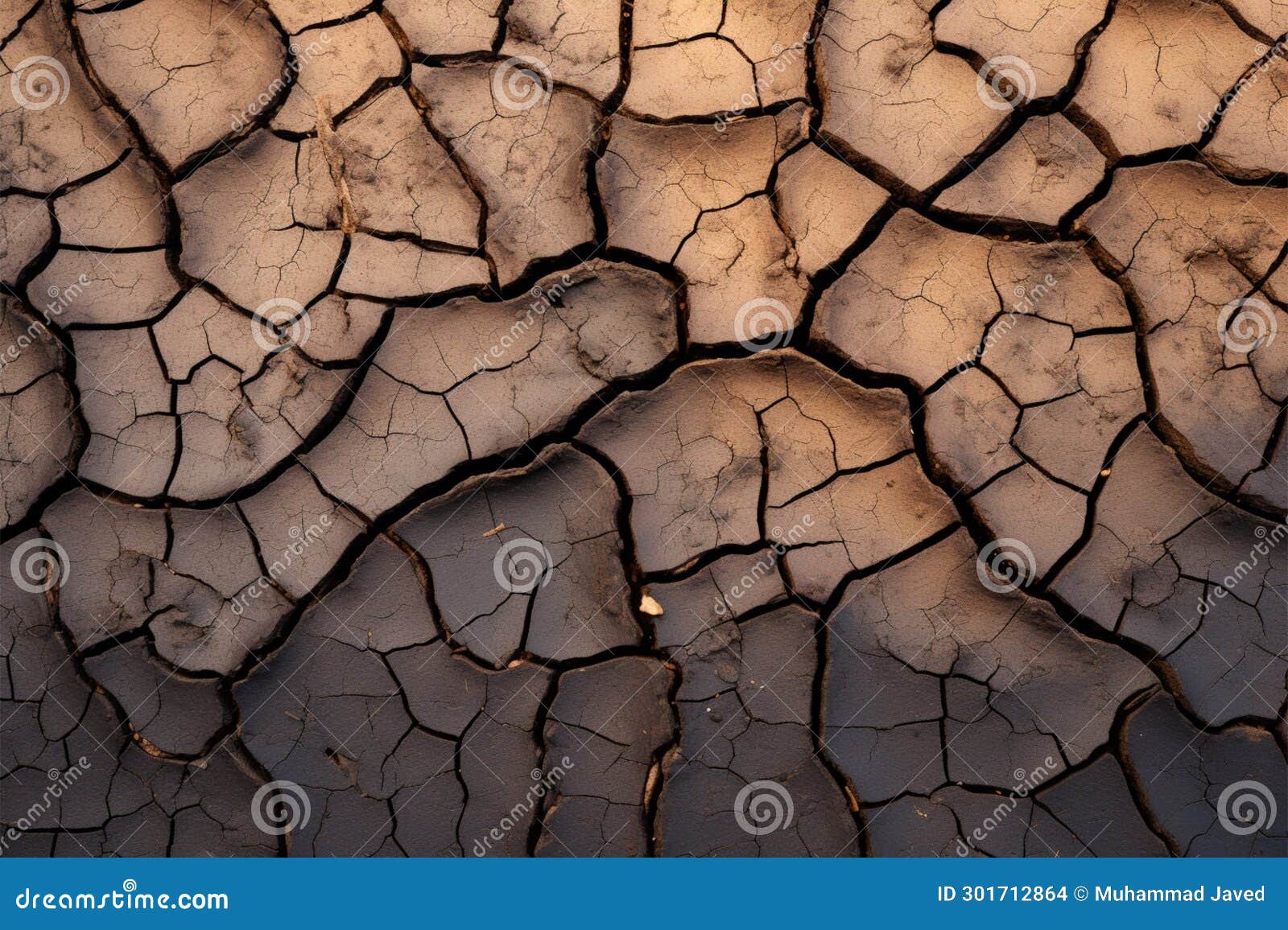 Earthy Contrast Broken Peat Texture with Hints of Subtle Moisture Stock ...