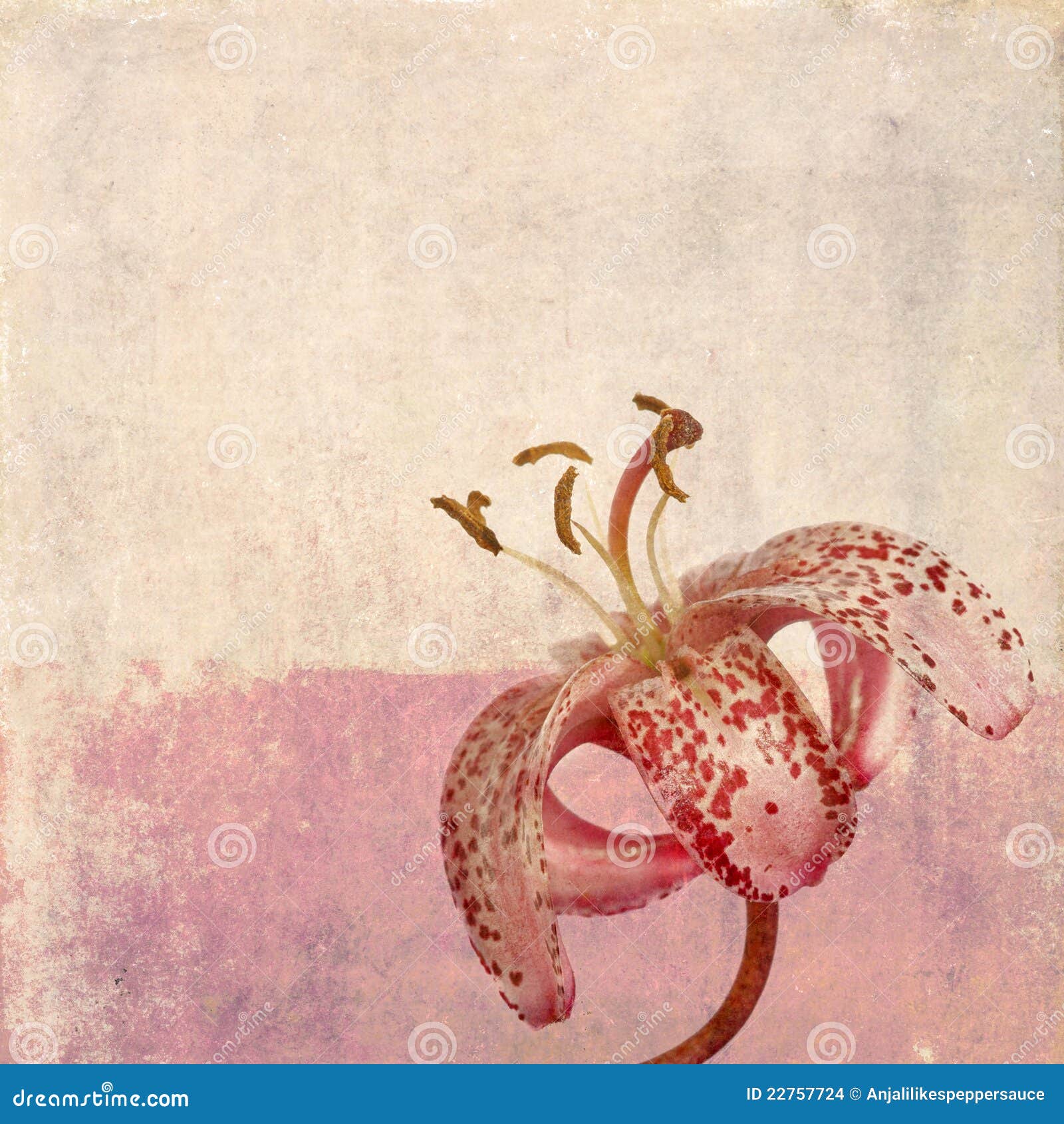 Earthy floral background stock illustration. Illustration of brush ...