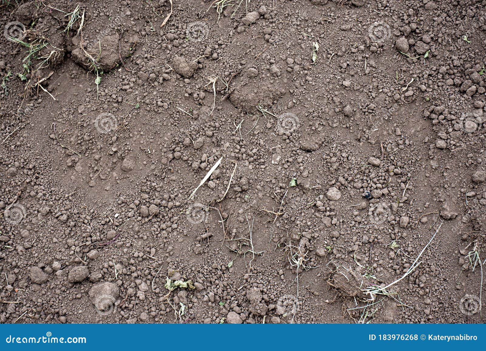 Earthy soil texture stock photo. Image of earthy, fertilizer - 183976268