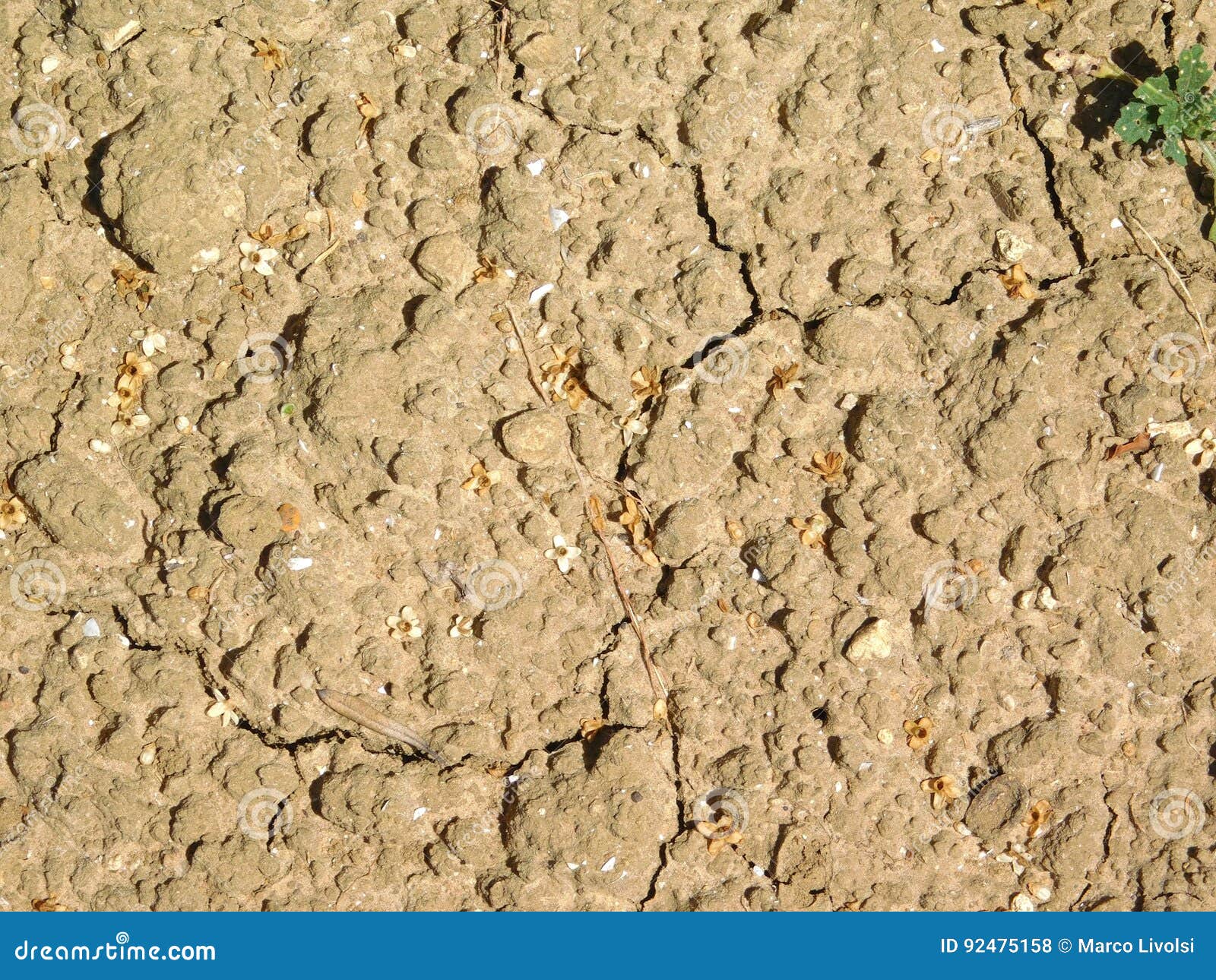 Earthy texture outdoors stock photo. Image of material - 92475158