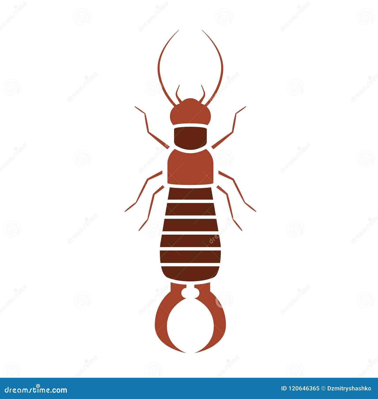 Common Earwig Vector Illustration | CartoonDealer.com #221448346