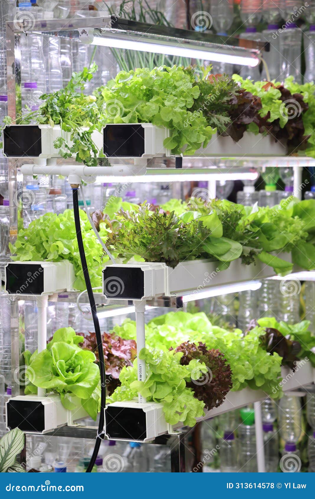 Easiest Type of Hydro System To Use Editorial Stock Photo - Image of ...