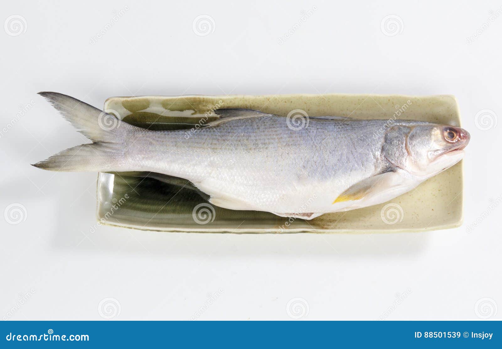 Fourfinger Threadfin Dried Fish Isolated On White Background, Salted ...