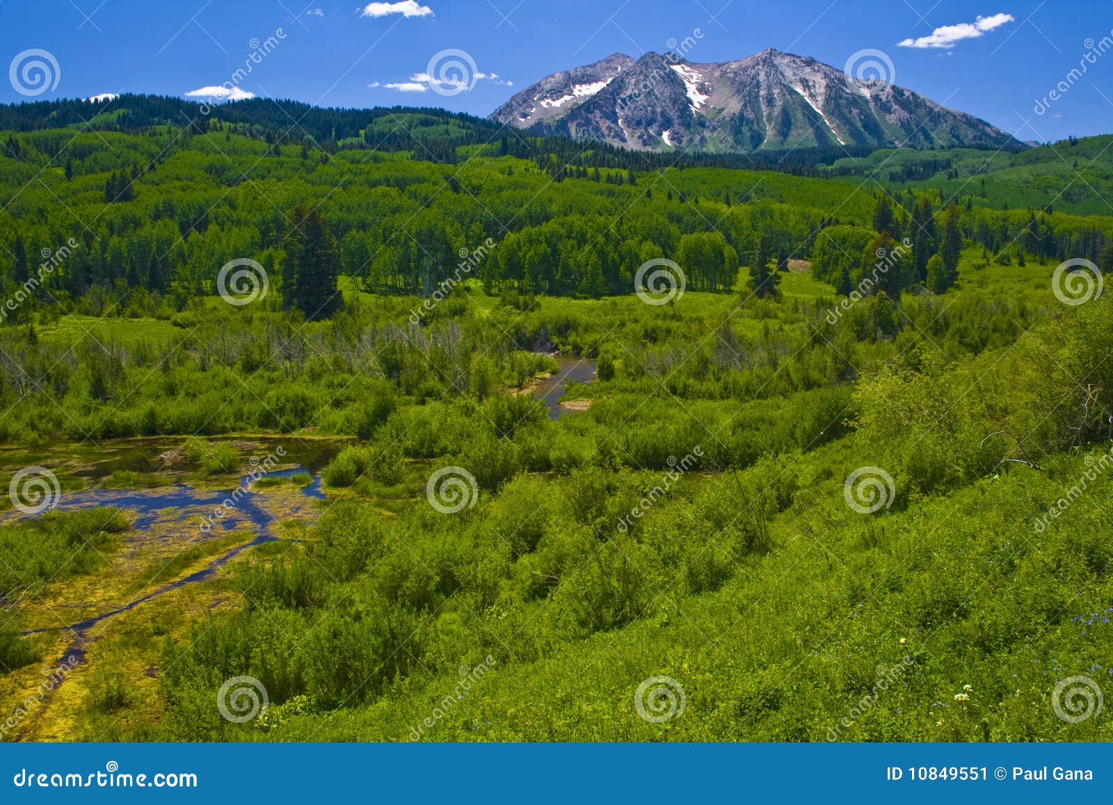 East Beckwith Mountain stock image. Image of forest, green - 10849551