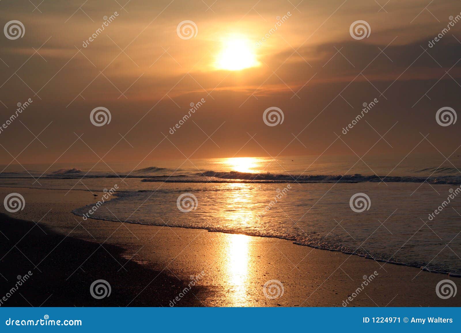 East coast sunrise stock image. Image of morning, romantic - 1224971