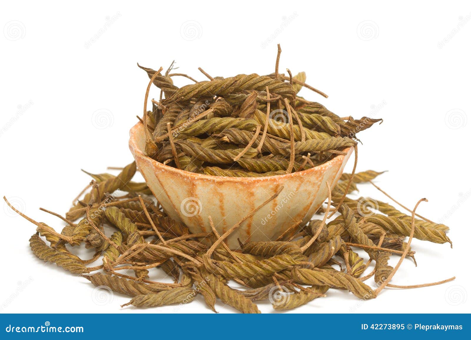 Indian Tree Land Gober Stock Photography | CartoonDealer.com #192599588