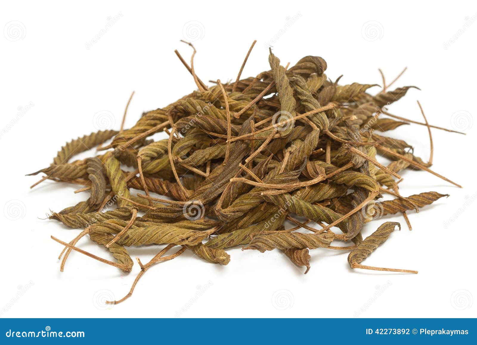 Indian Tree Land Gober Stock Photography | CartoonDealer.com #192599588