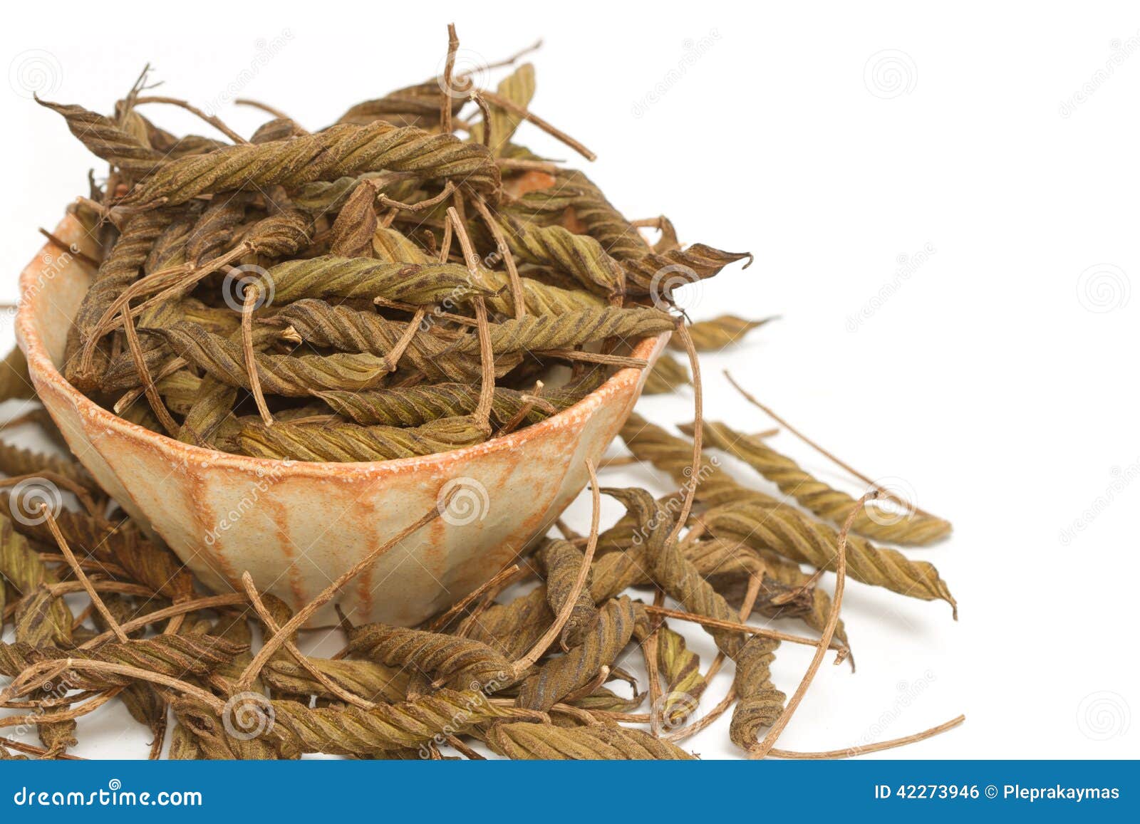 Indian Tree Land Gober Stock Photography | CartoonDealer.com #192599588