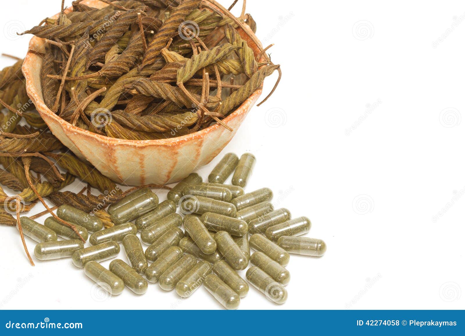 Indian Tree Land Gober Stock Photography | CartoonDealer.com #192599588