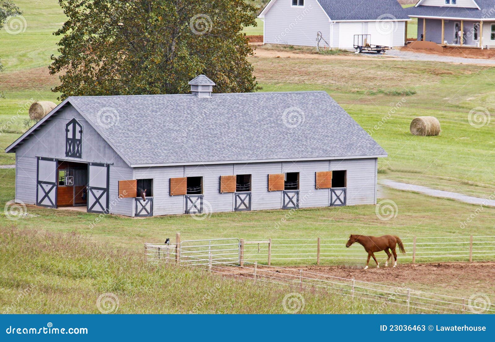 Tennessee Stable Stock Photos - Free & Royalty-Free Stock Photos from ...