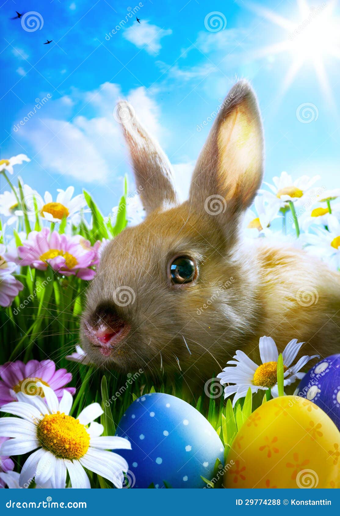 Art Easter Baby Rabbit and Easter Eggs Stock Photo - Image of april ...