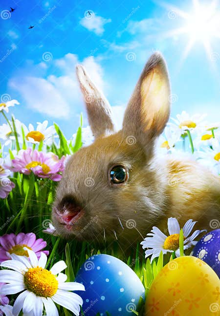 Art Easter Baby Rabbit and Easter Eggs Stock Photo - Image of april ...