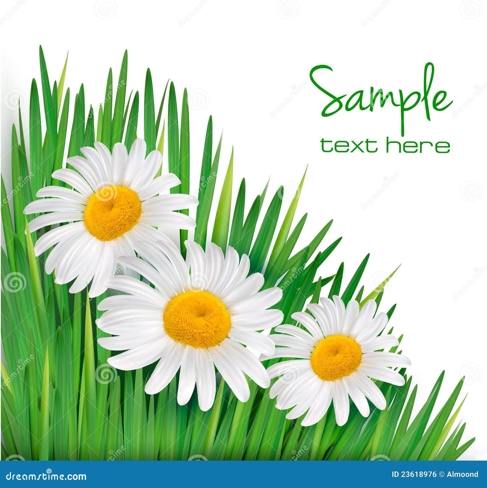 Easter Background Daisy Flowers in Green Grass. Stock Vector ...