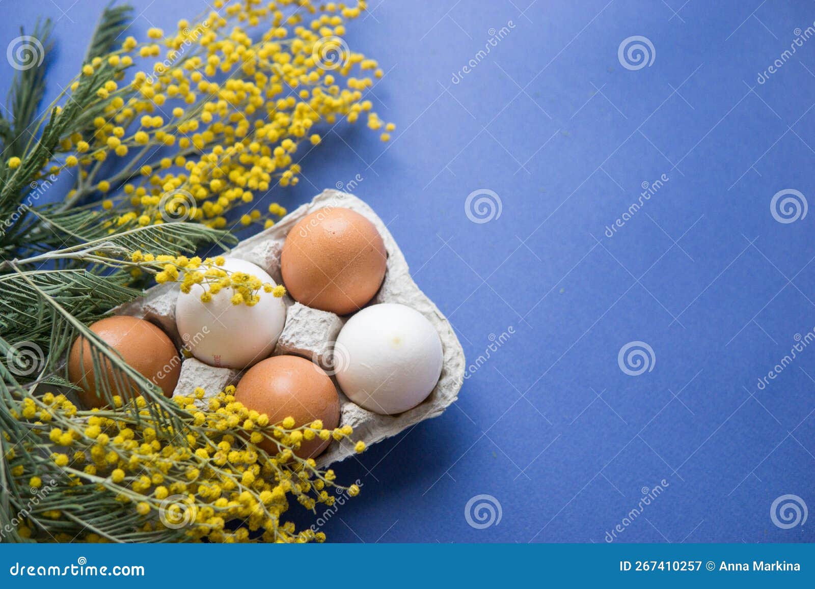 Easter Background, Eggs on a Blue Background, Decorated with Mimosa ...