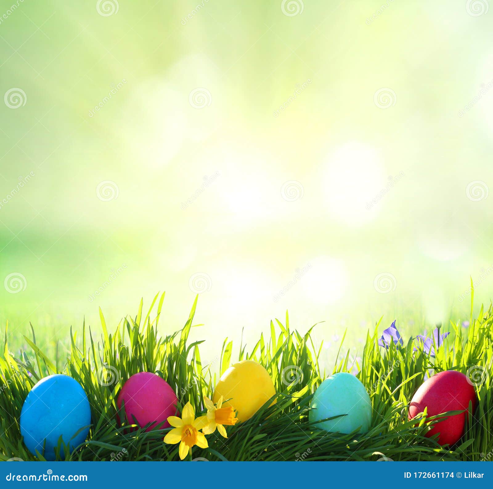 Easter Background. Easter Eggs on Green Grass Stock Photo - Image of ...