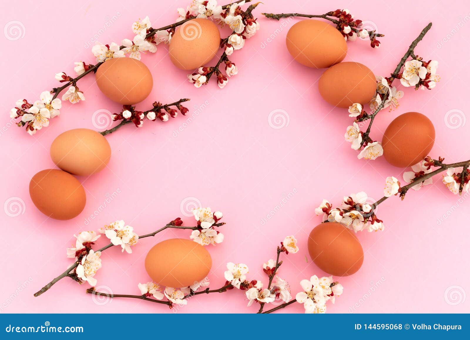 Frame of Easter Chicken Eggs and Spring Flowers on Pastel Pink ...