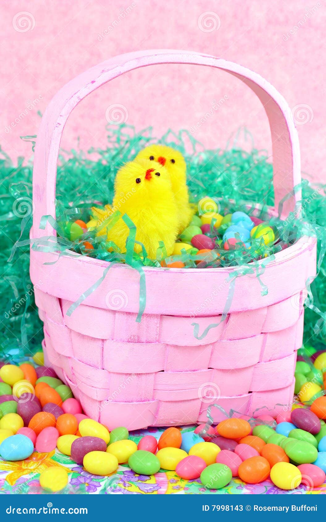 Easter Basket with Chicks stock image. Image of tradition - 7998143