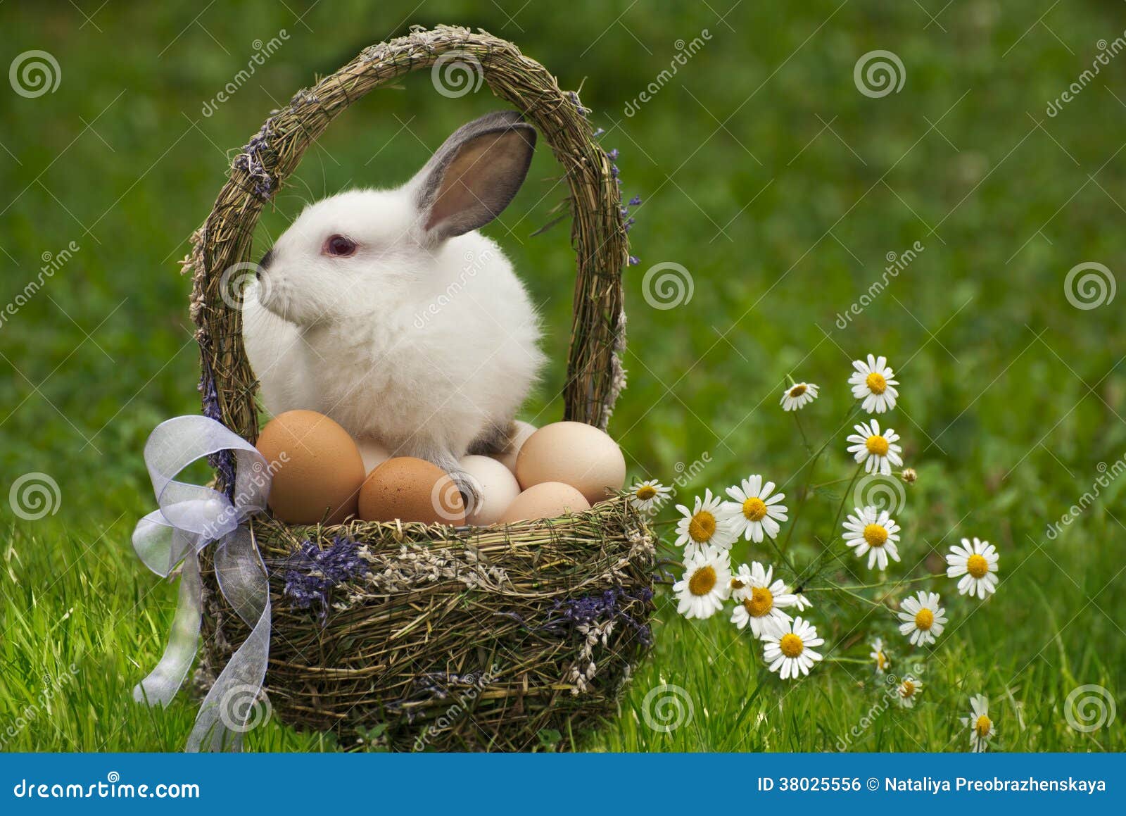 Easter Basket and the Easter Bunny Stock Photo - Image of traditional ...