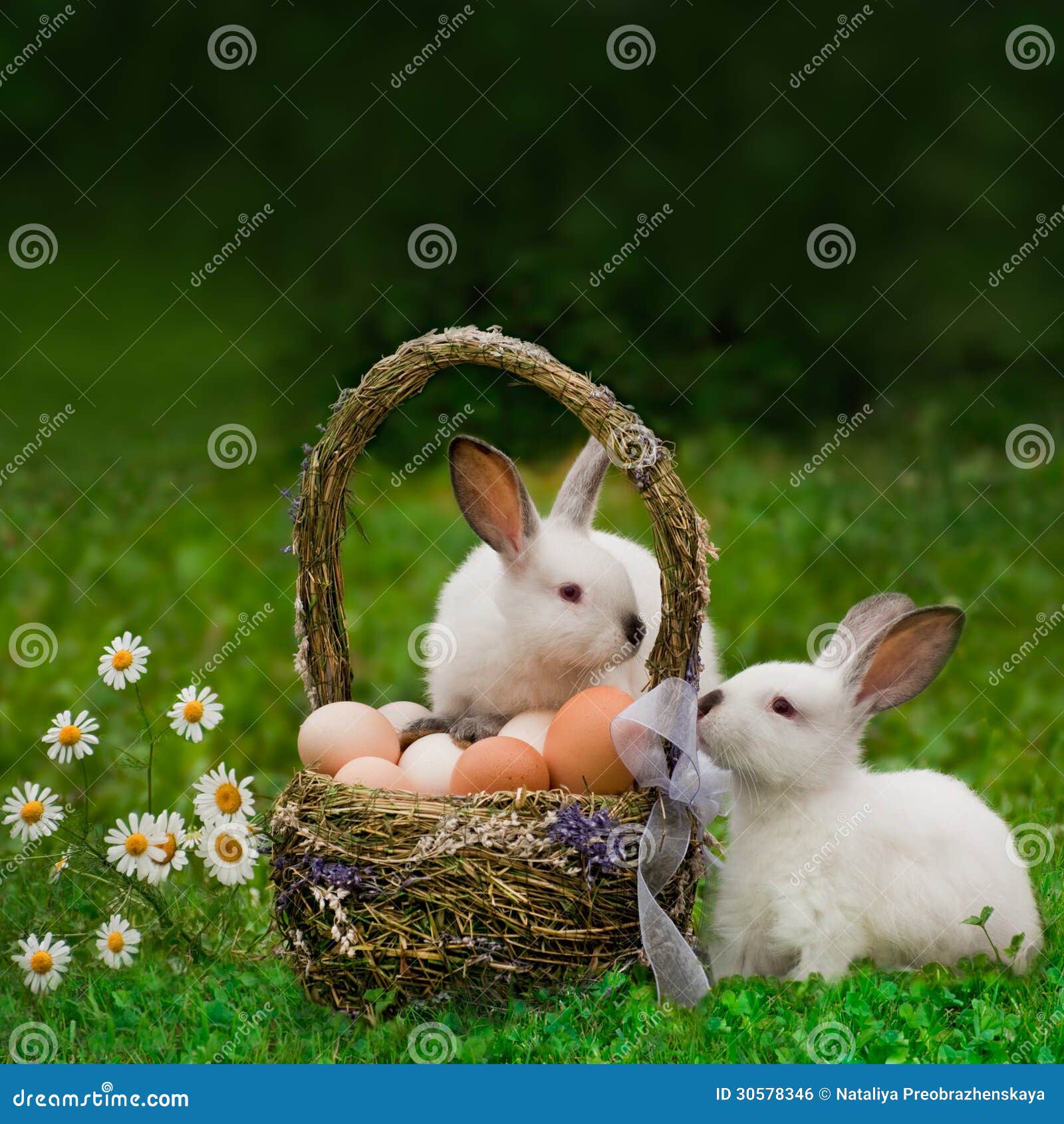 Easter Basket and the Easter Bunny Stock Photo - Image of eggs, happy ...