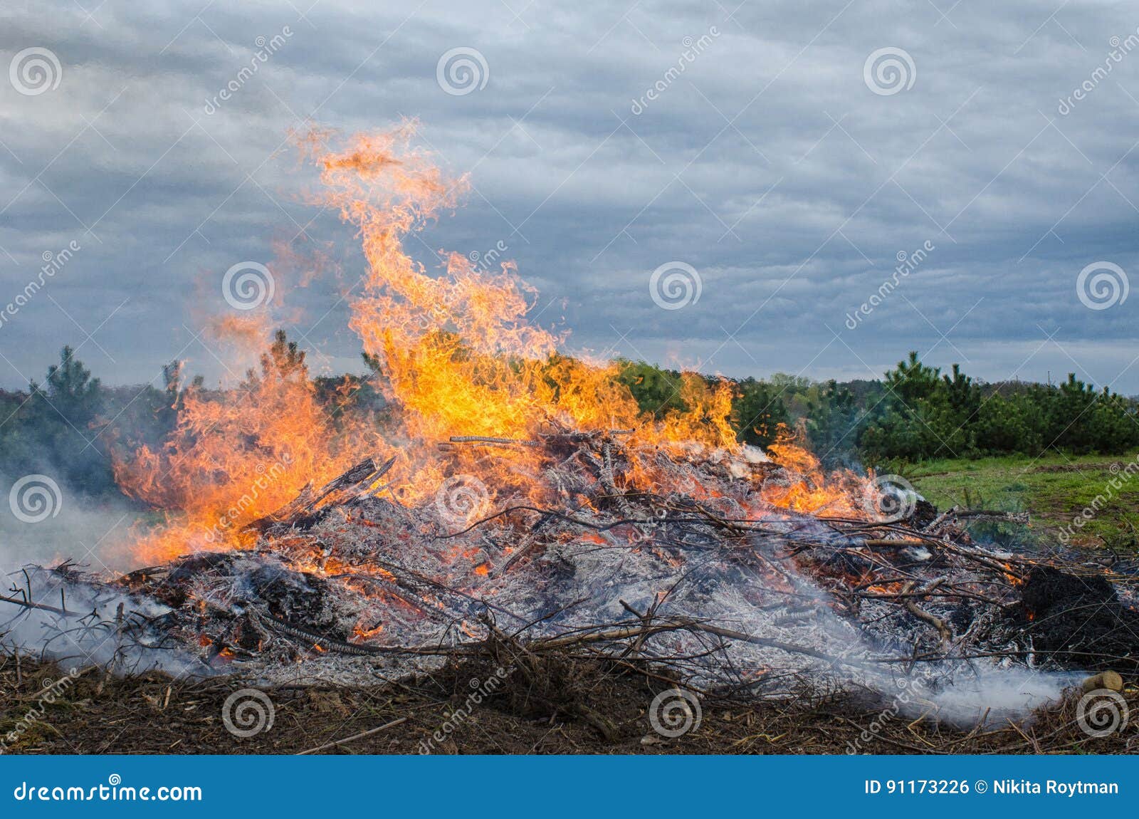 Easter bonfire stock photo. Image of large, trees, picturesque - 91173226
