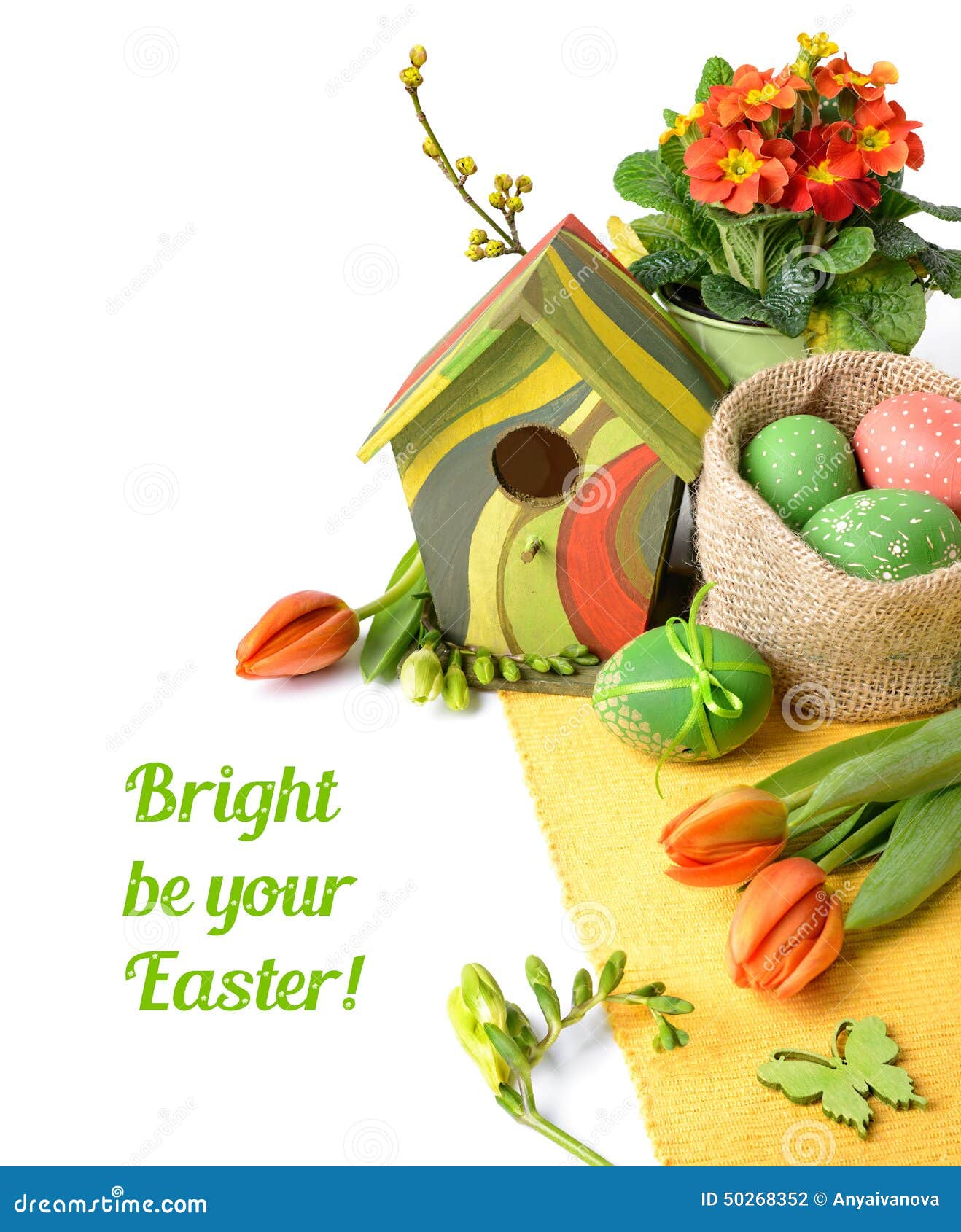 Easter Border with Orange Tulips and Primulas on White Stock Photo ...