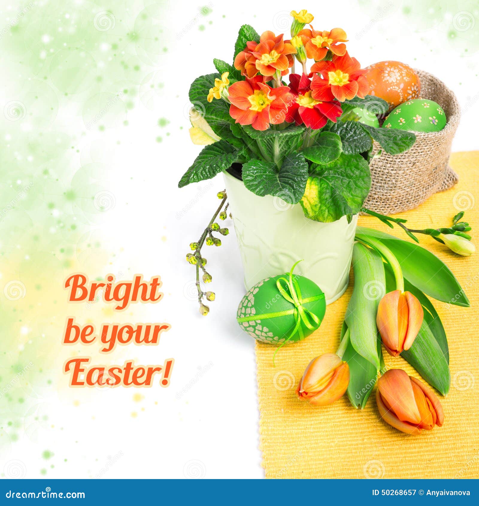 Easter Border with Orange Tulips and Primulas on White Stock Image ...