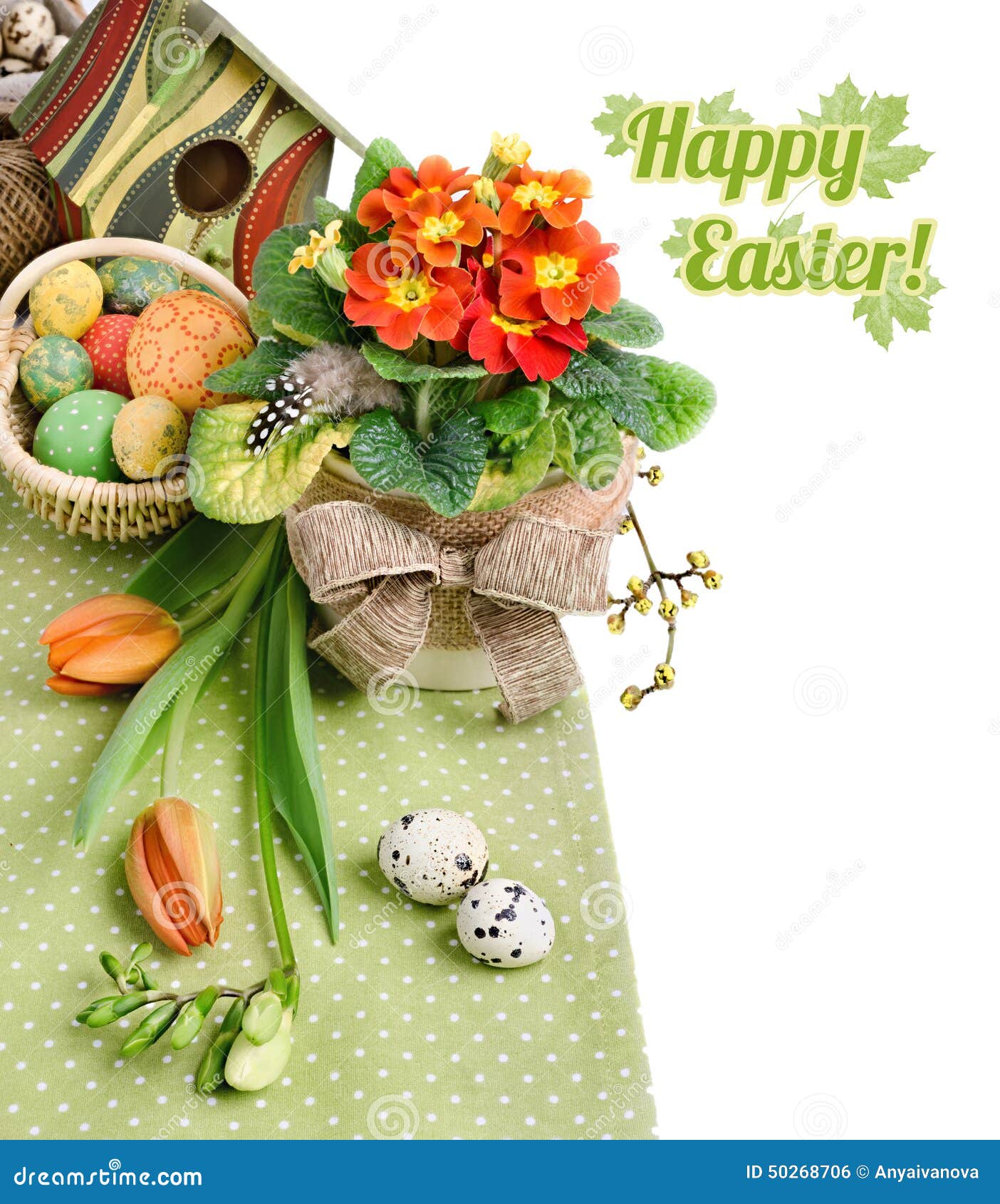 Easter Border with Orange Tulips and Primulas on White Stock Photo ...