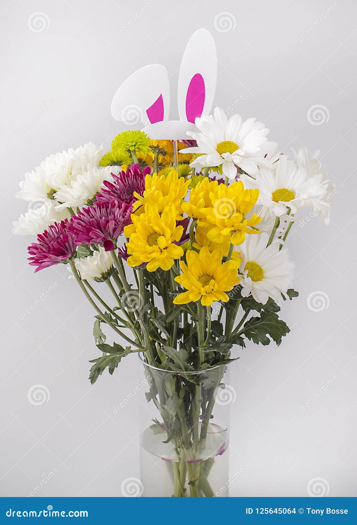 Easter Spring Flowers with Bunny Ears Stock Photo - Image of matrimony ...