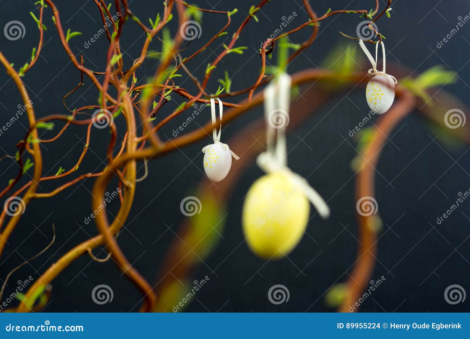 Easter branch stock photo. Image of leaves, symbol, flora - 89955224